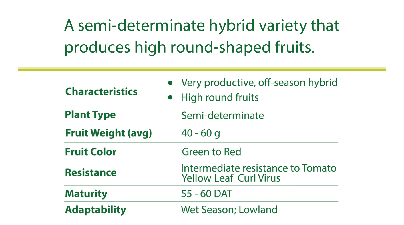Atlas F1 – Allied Botanical Corporation