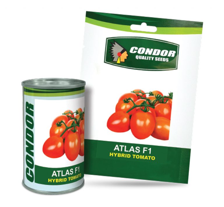 Atlas F1 – Allied Botanical Corporation