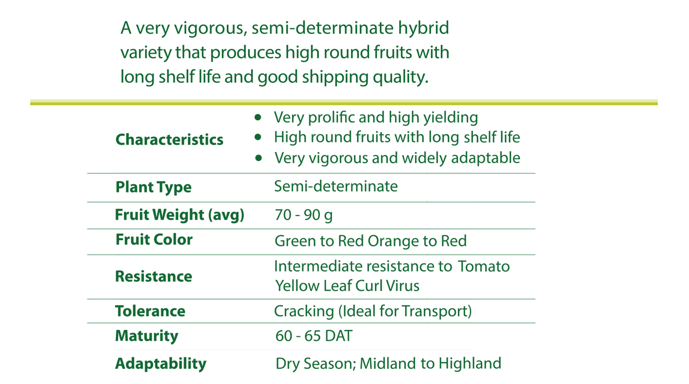 Avatar TY F1 – Allied Botanical Corporation