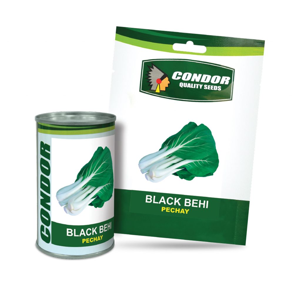 Black Behi White Stem – Allied Botanical Corporation
