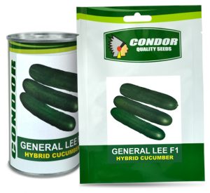 General Lee F1 Hybrid Slicer Cucumber – Allied Botanical Corporation