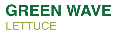 Green Wave – Allied Botanical Corporation