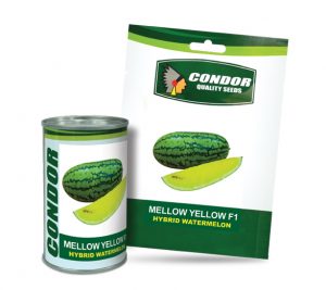 Mellow Yellow F1 – Allied Botanical Corporation