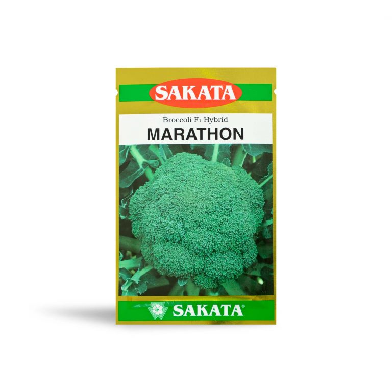 Broccoli – Allied Botanical Corporation