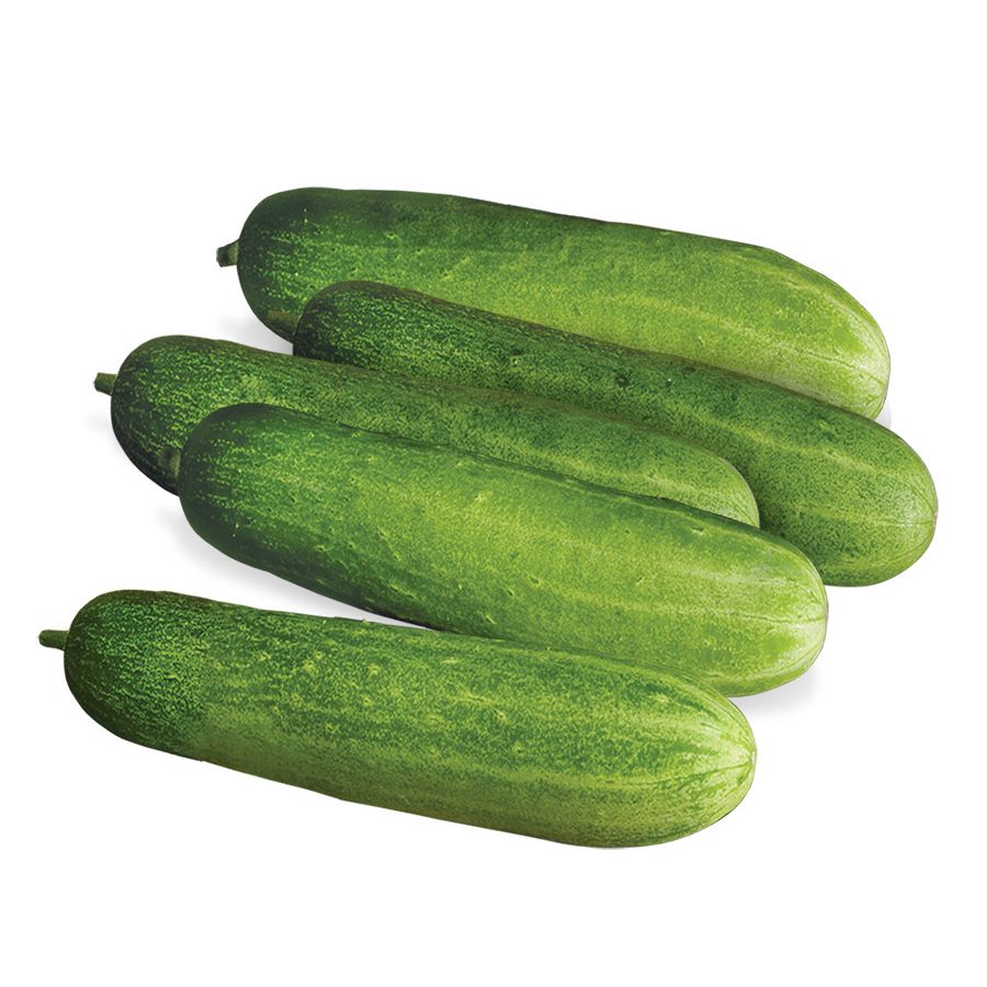 Cucumber – Allied Botanical Corporation