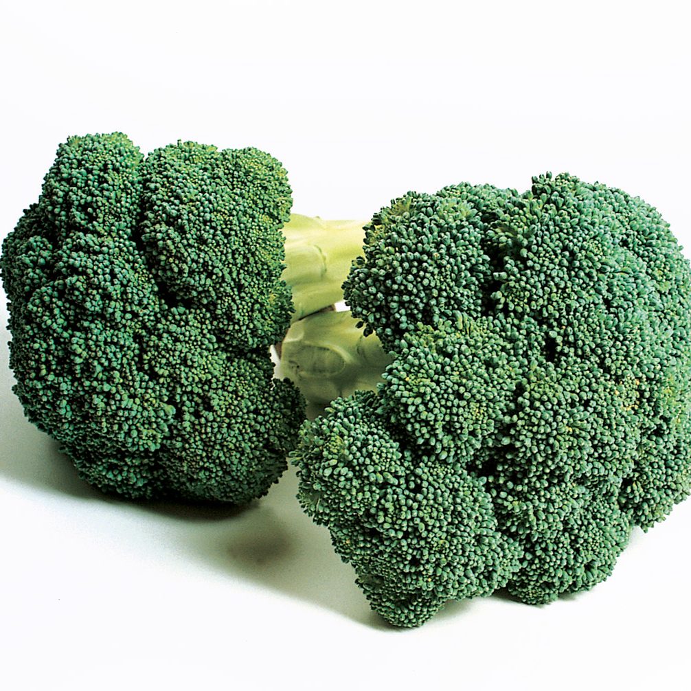 Broccoli – Allied Botanical Corporation