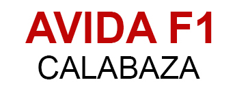 Avida F1 Hybrid Calabaza – Allied Botanical Corporation