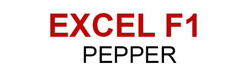 Excel F1 Hybrid Bell Pepper – Allied Botanical Corporation