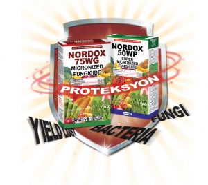 Nordox – Allied Botanical Corporation