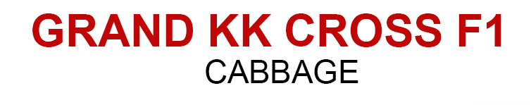 Grand KK Cross F1 Hybrid Cabbage – Allied Botanical Corporation