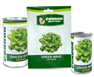 Green Wave Lettuce – Allied Botanical Corporation