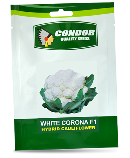 White Corona F1 Hybrid Cauliflower – Allied Botanical Corporation