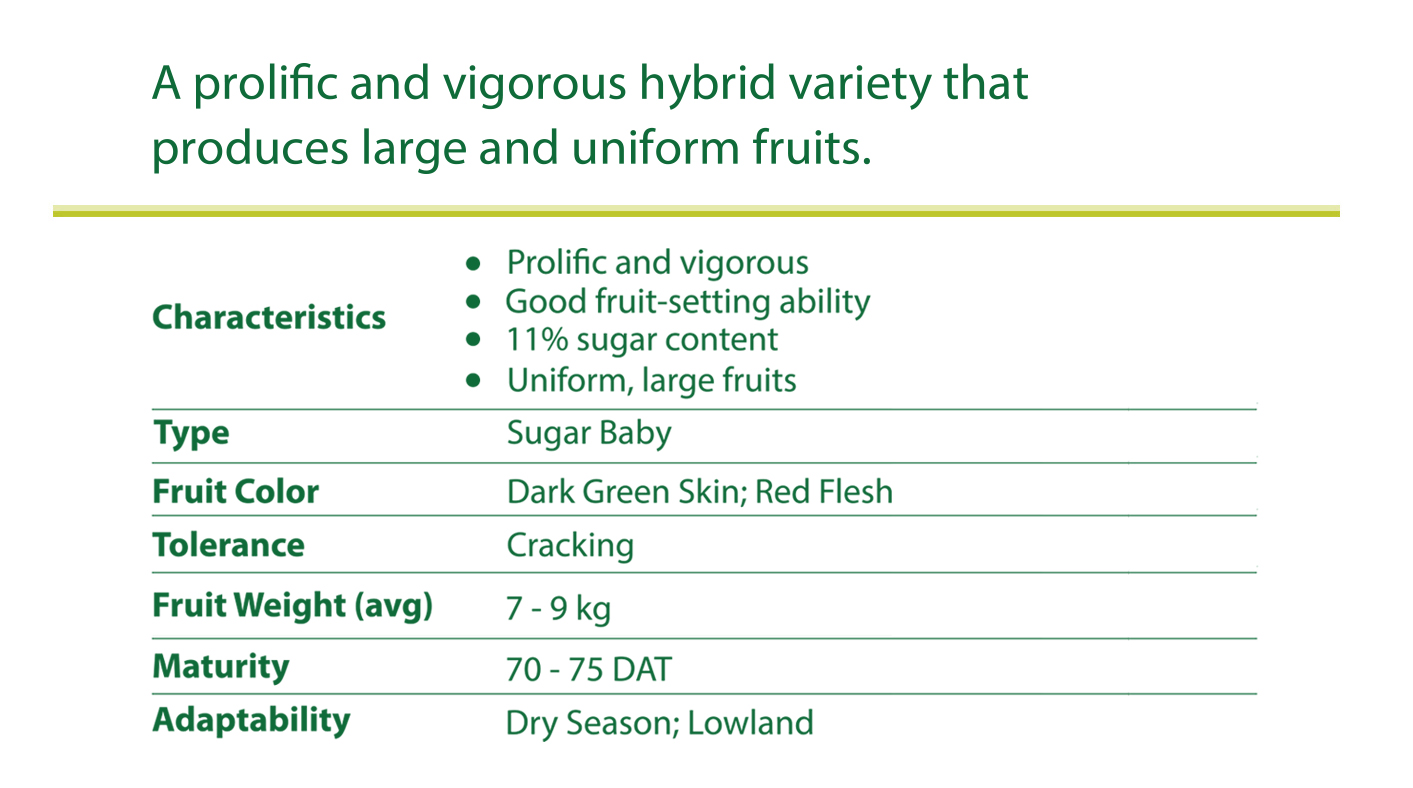 Hunter F1 – Allied Botanical Corporation