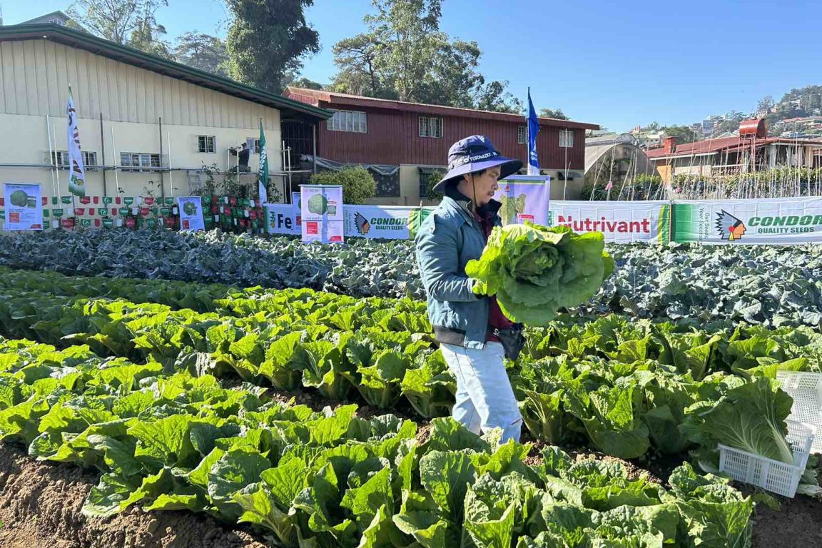 Allied Botanical Corporation – The Top Choice of Seed Distributor in ...