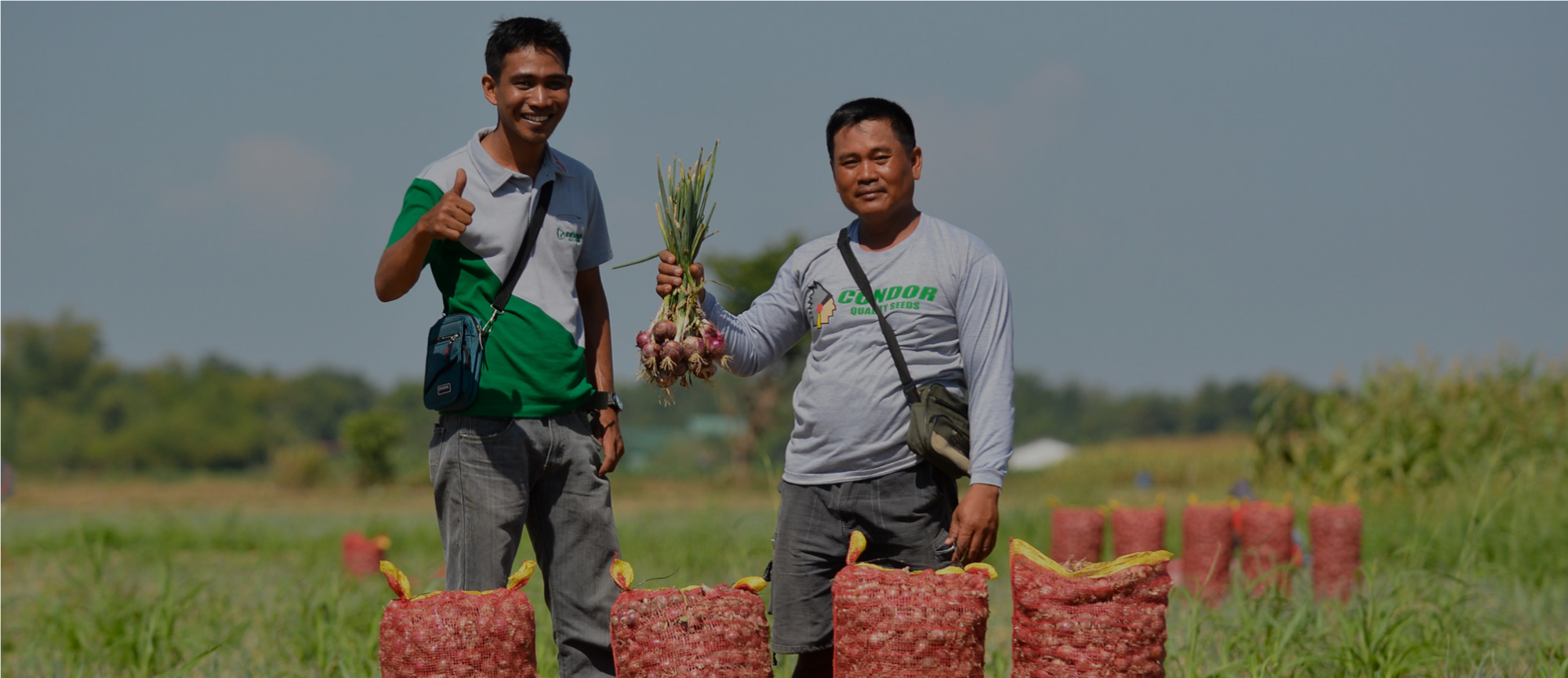 Allied Botanical Corporation – The Top Choice of Seed Distributor in ...