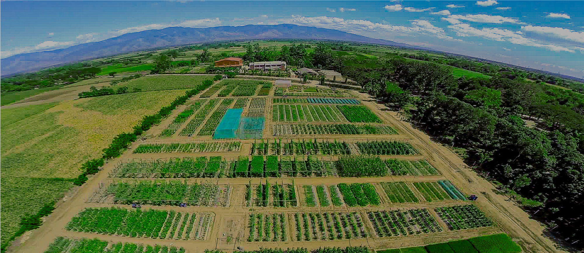 Allied Botanical Corporation – The Top Choice of Seed Distributor in ...