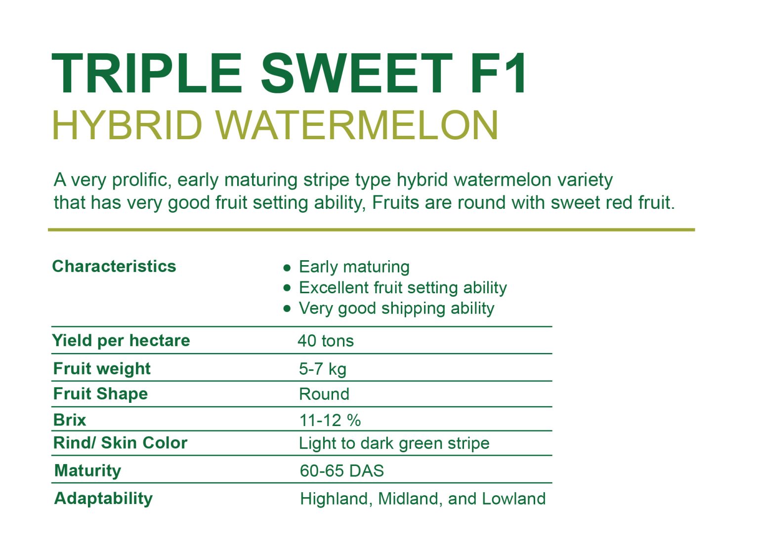 Triple Sweet F1 – Allied Botanical Corporation