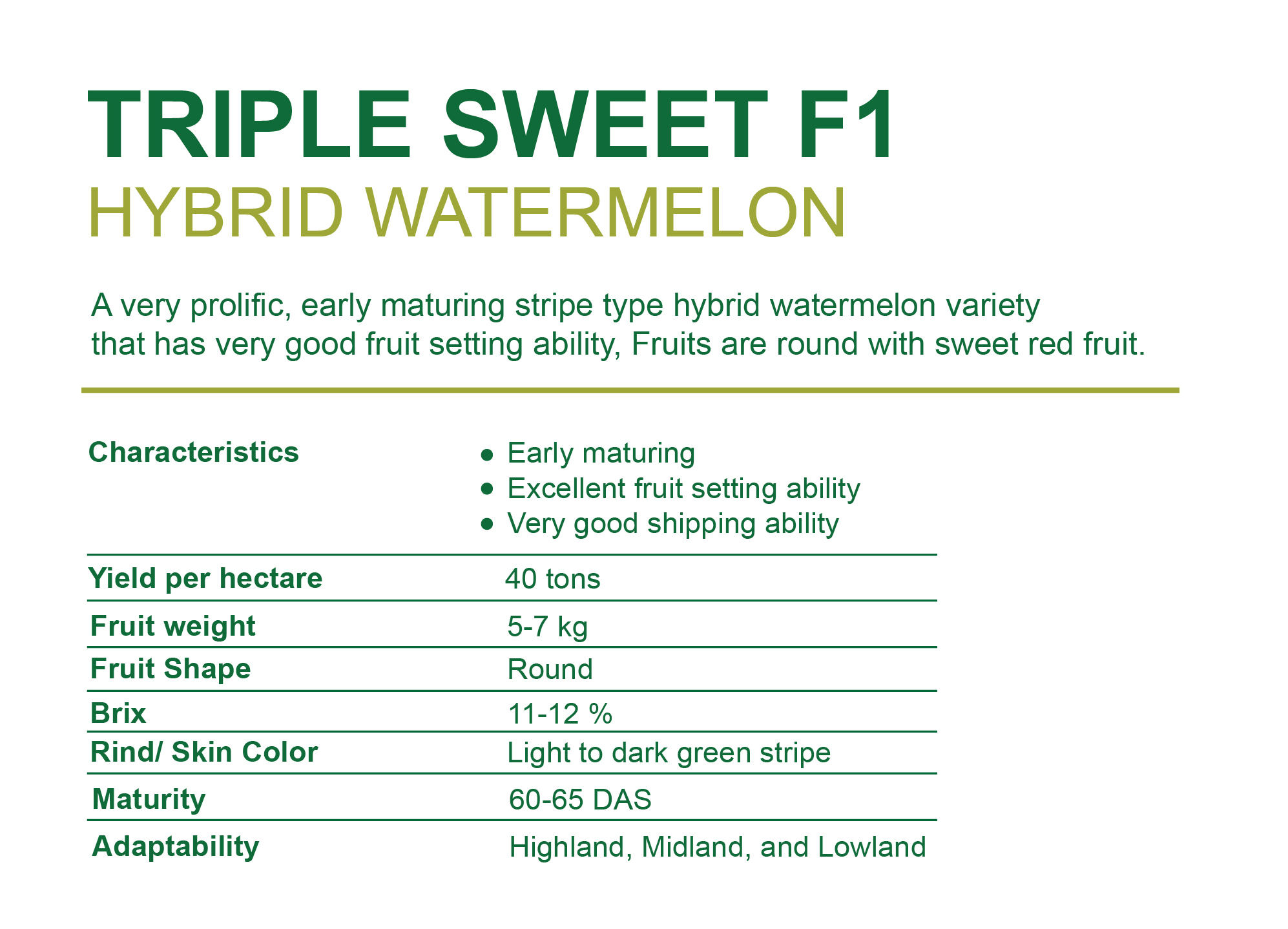 Triple Sweet F1 – Allied Botanical Corporation